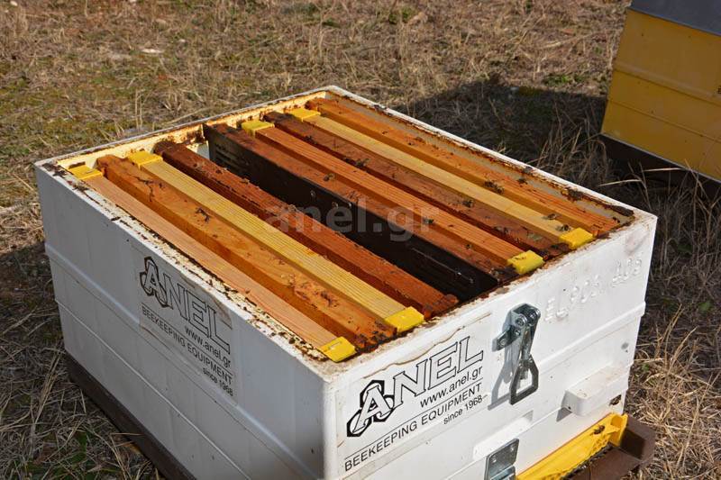 Beehive Vertical Divider - Queen Excluder Adjustable ANEL Langstroth